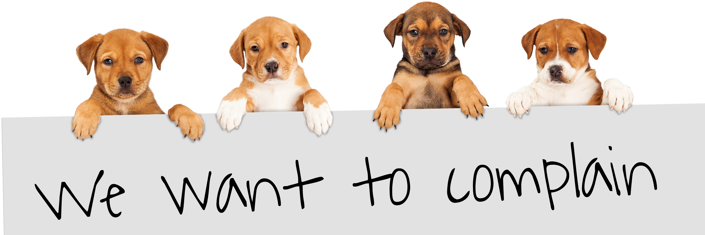 Grievance at work | Employment Law Friend